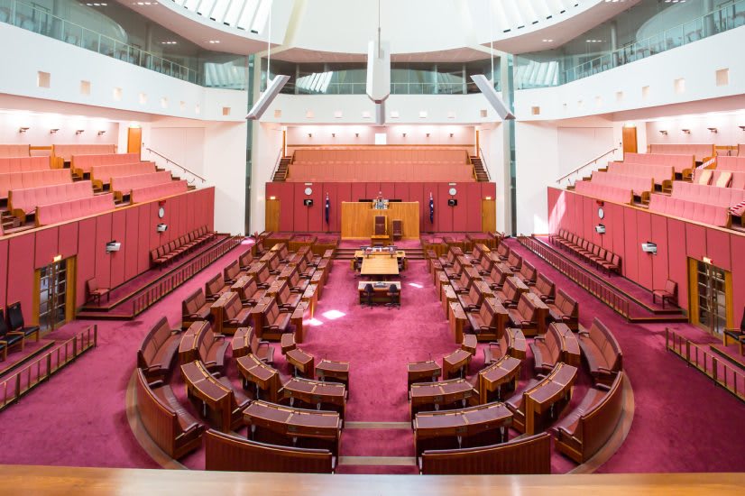 Senate reveals terms for inquiry into Dixon and CSLR - IFA