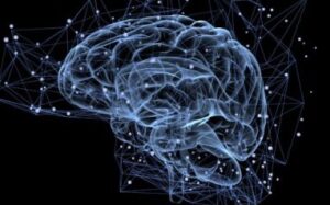 Faybl launches general-purpose AI tool as early advice firms begin ...