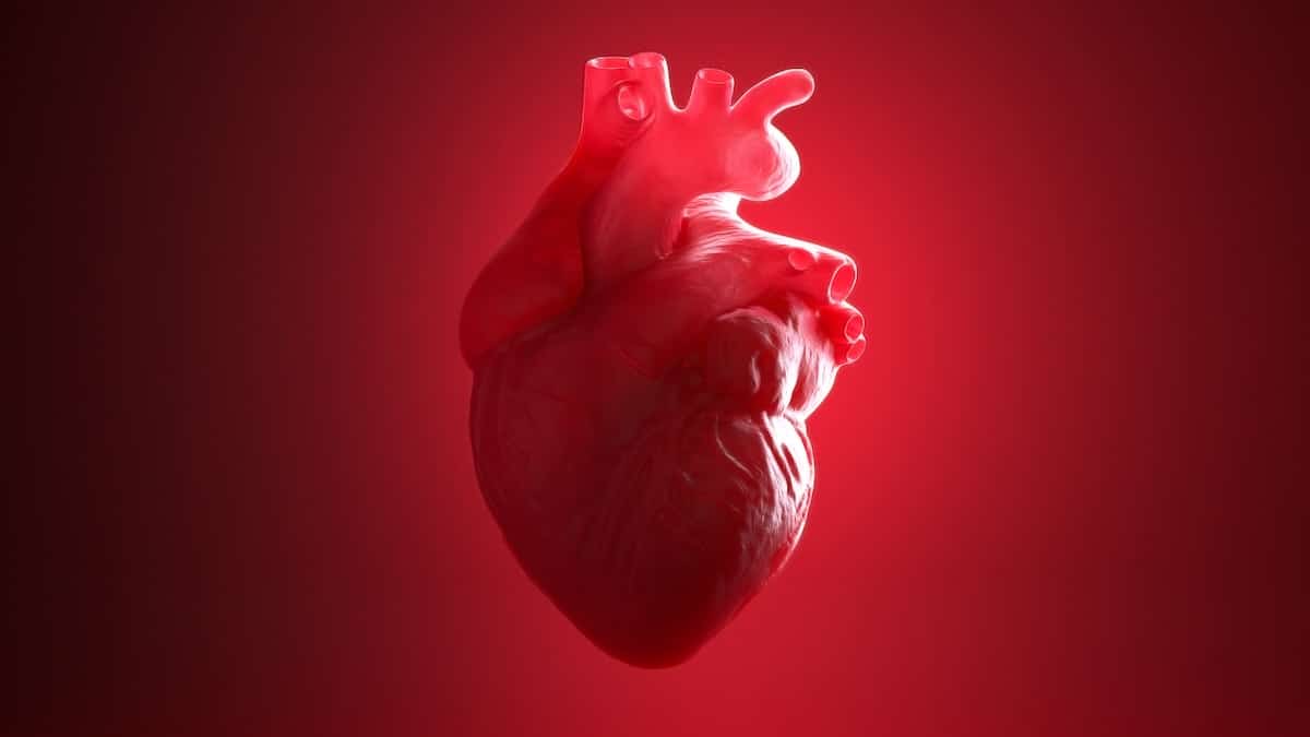 The ‘absurd’ problem at the heart of the CSLR - IFA